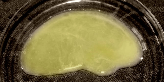 Spermafarbe | Was ist optimal? 6 Farben [2025] — Potenz-Tipps – Für Männer